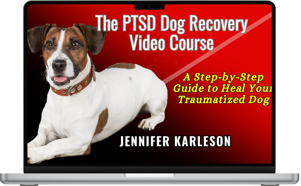 CB-The PTSD Dog Recovery Video Course: A Step-by-Step Video Guide to ...