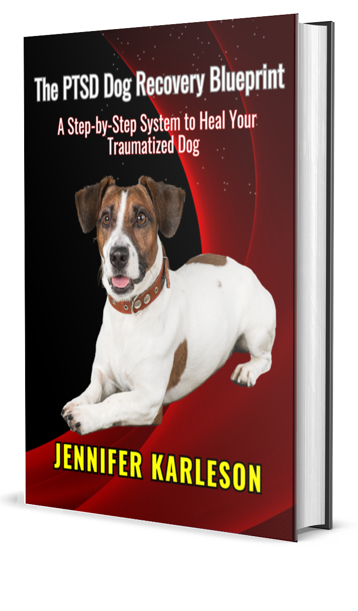 STR - The PTSD Dog Recovery Blueprint: A Step-by-Step System to Heal ...